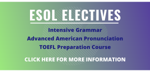 The English You Need to Succeed - English for Speakers of Other ...